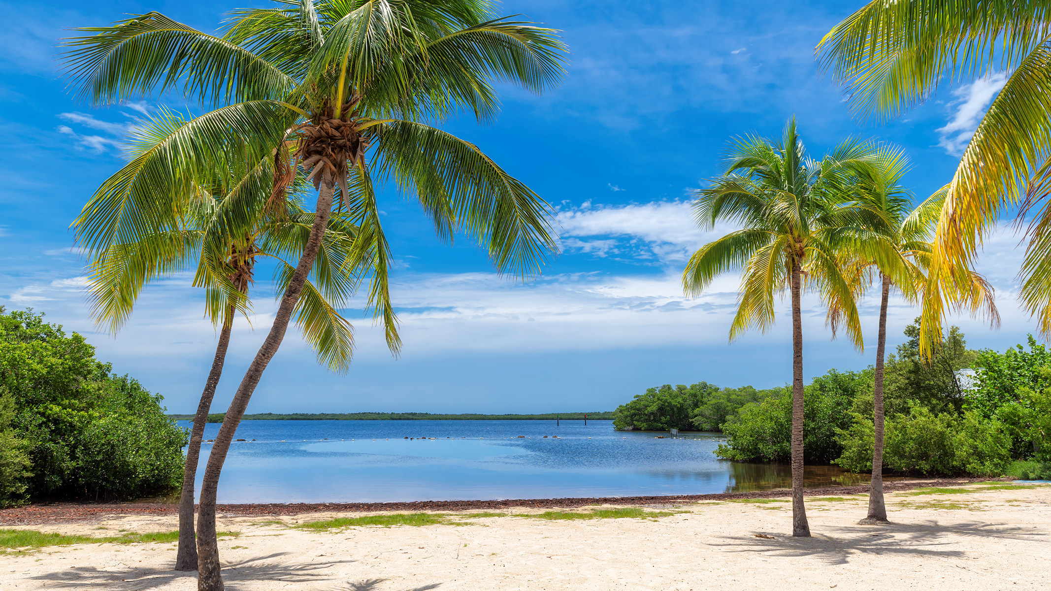 Explore Medicare Plans | CarePlus Health Plans